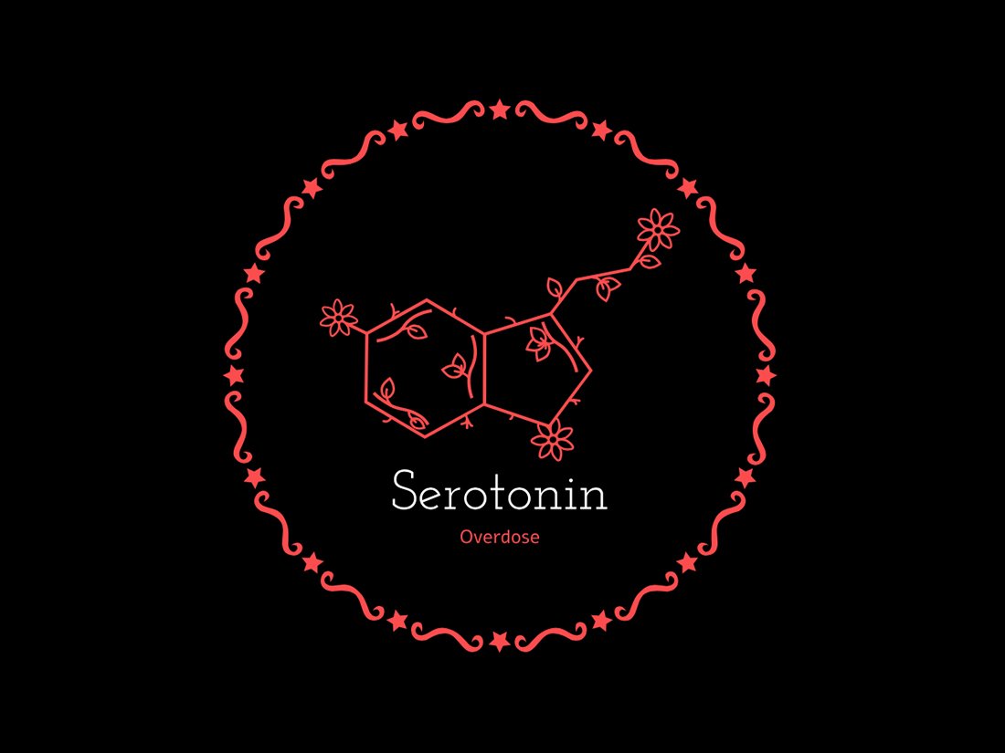 Logo Animation – Mr . Bro